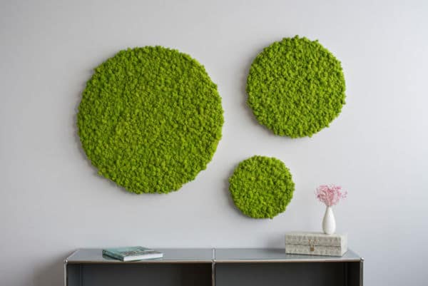 Moosbilder für ein grünes Zuhause | FLAECHENlust Gartenblog