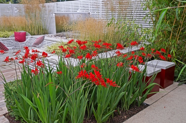 Garden Staging | Mach deinen Garten herzeigbar!